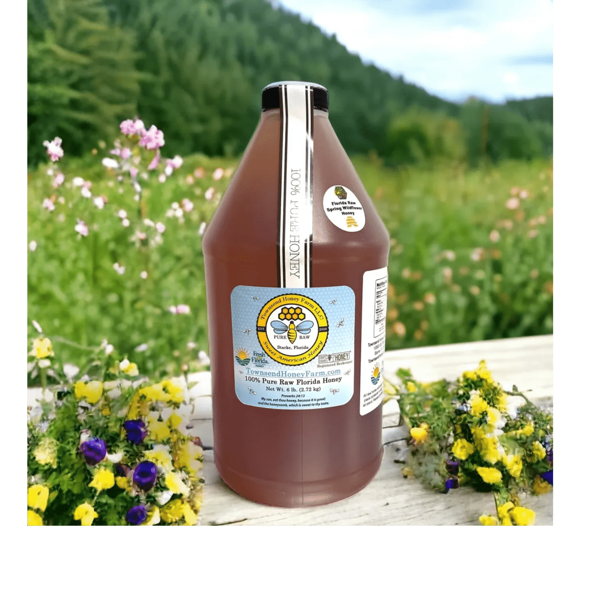 Florida Pure Raw Wildflower Honey - 1/2 Gallon – Townsend Honey Farm LLC